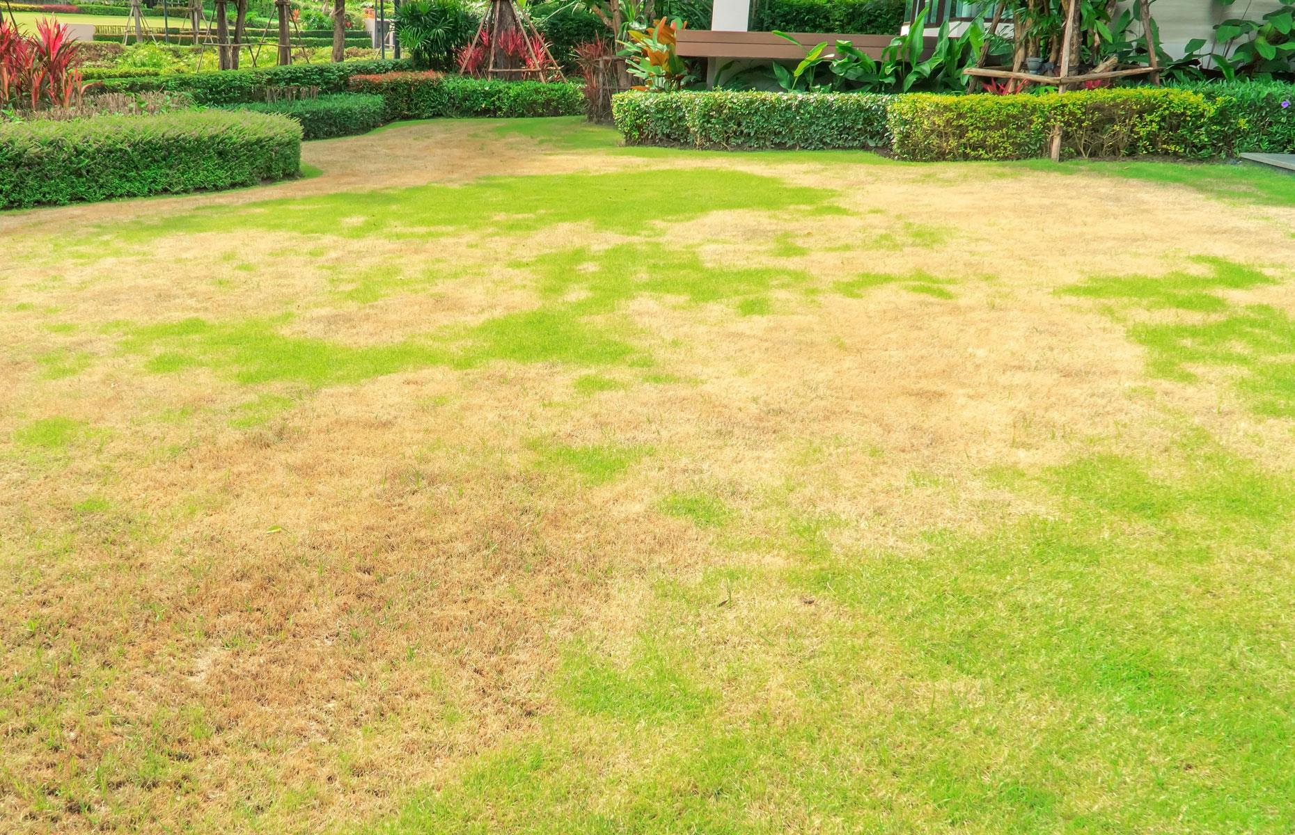 31 garden design disasters to avoid at all costs
