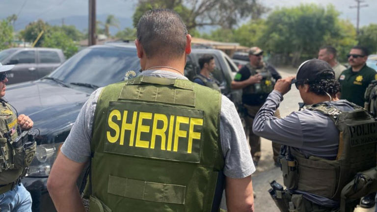 Southern California teen, 17, arrested in attempted murder of woman, boy