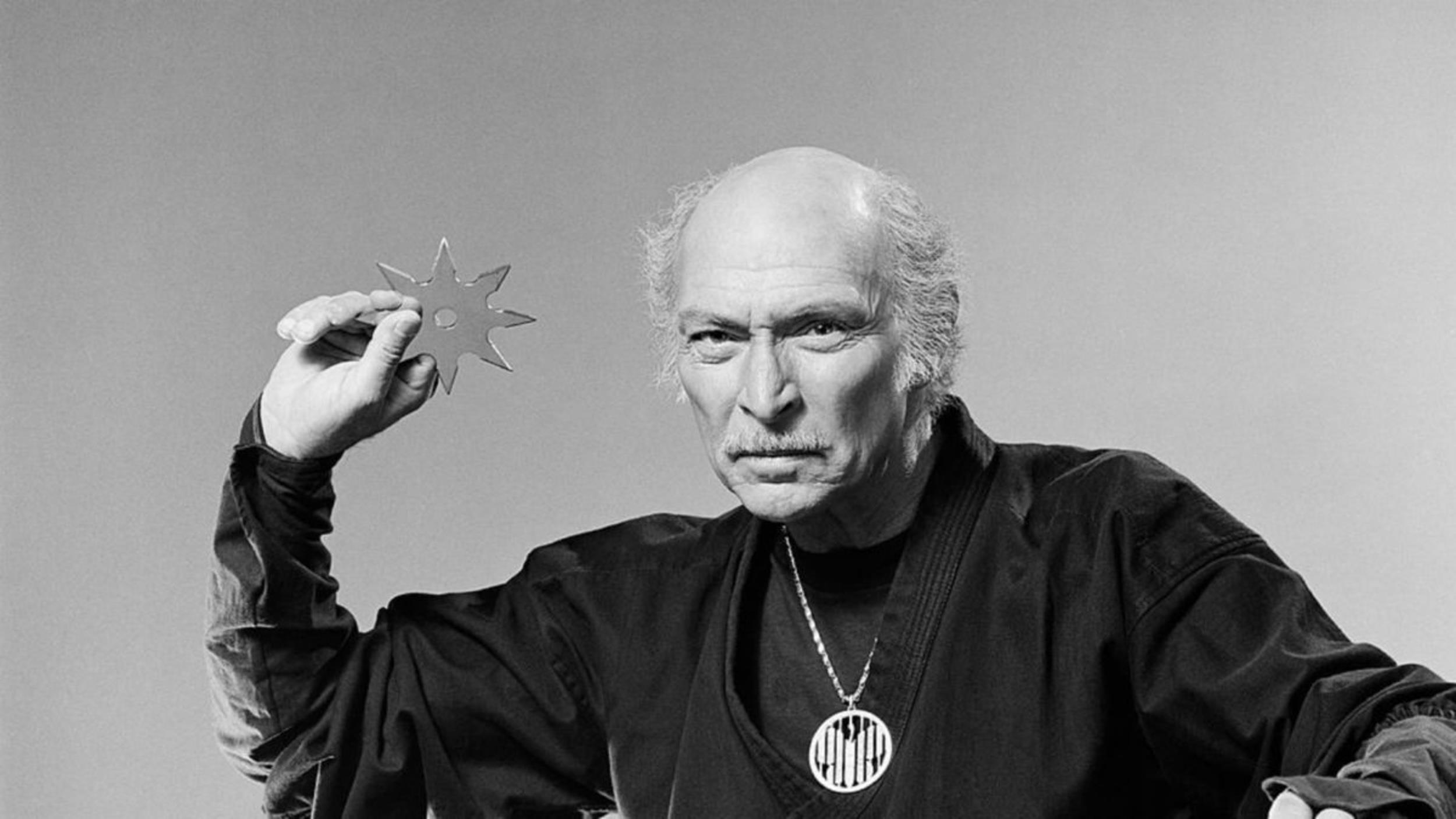 Pop culture ninjas that took hold of our imaginations