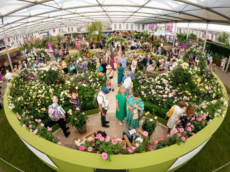 Everything you need to know about the Chelsea Flower Show 2025