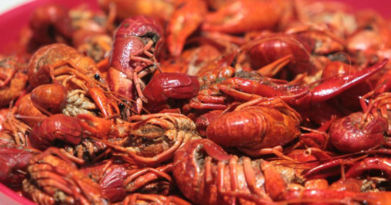 Louisiana crawfish prices go down for Valentine’s weekend