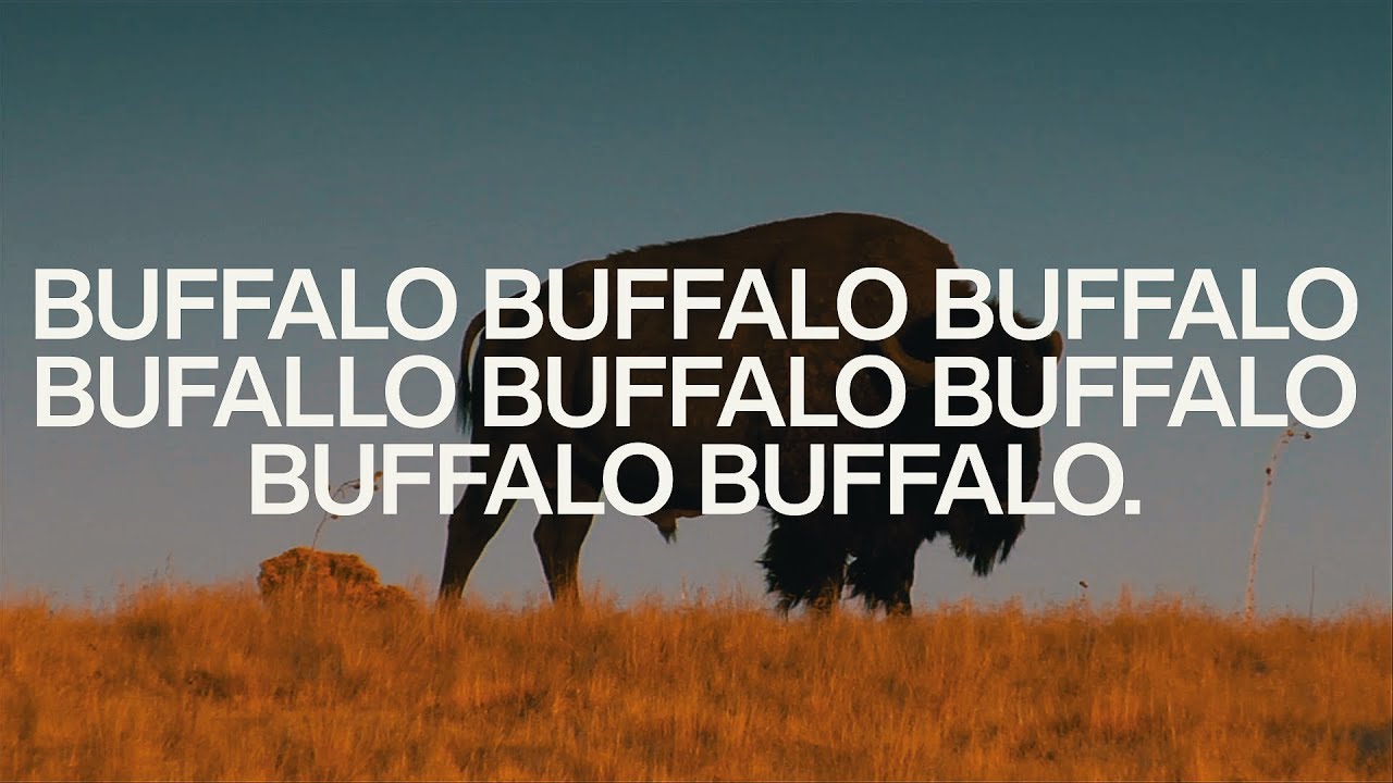 How English Became the Internet’s Biggest Meme