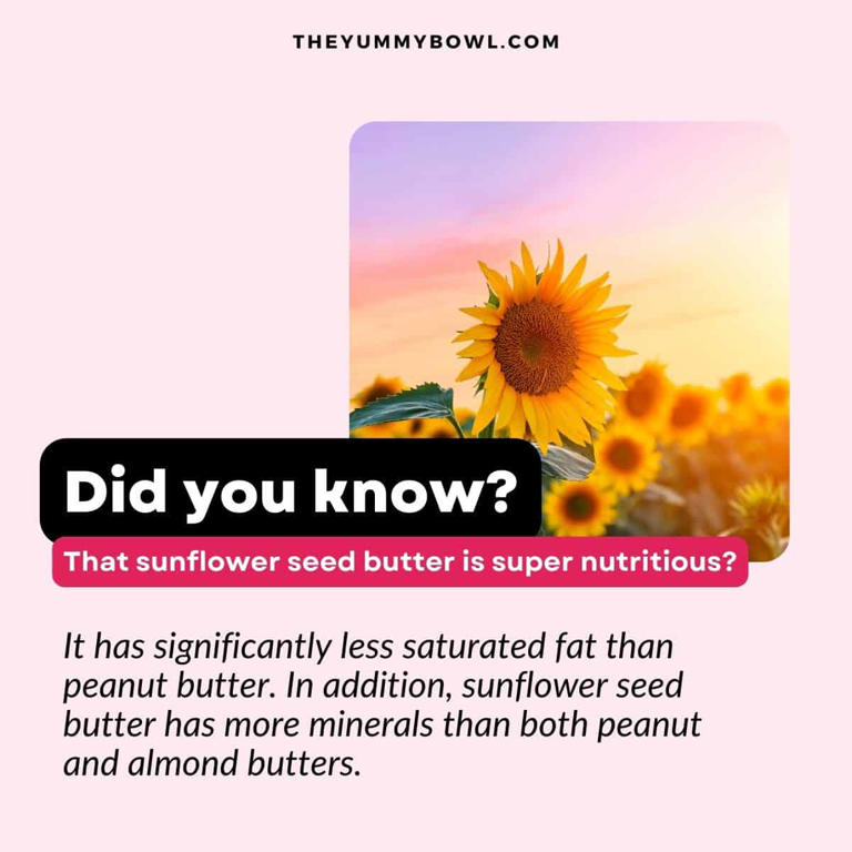 Sunflower Butter vs. Peanut Butter: Which One Is Better!