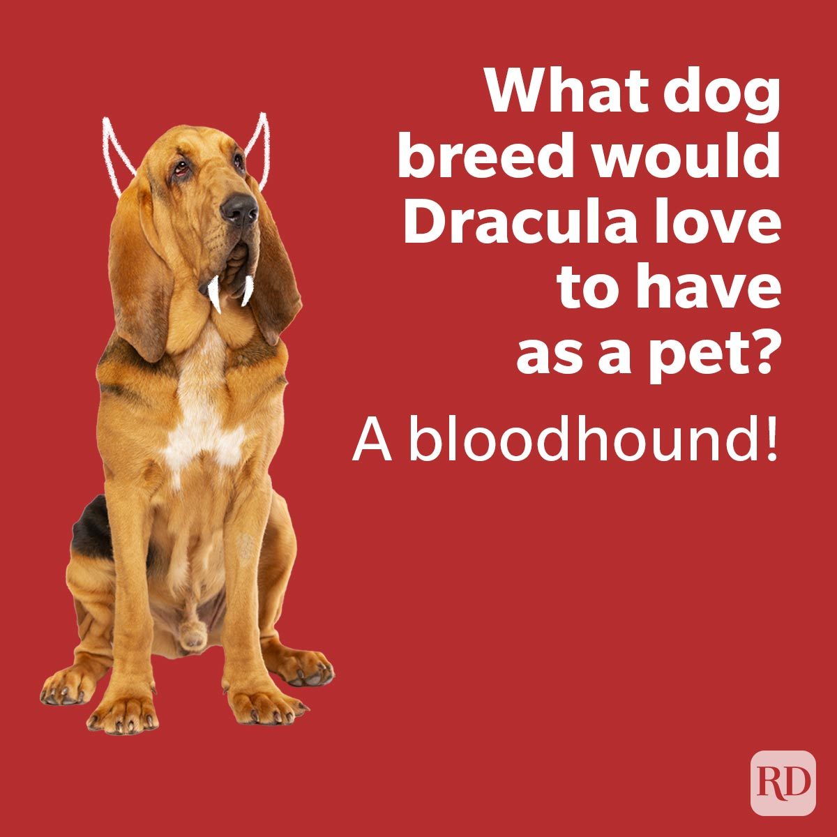 212 Funny Jokes for Kids Guaranteed to Crack Them Up