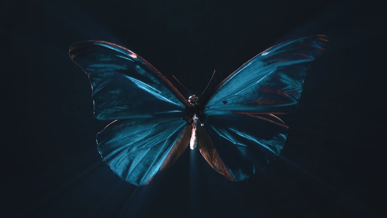 The Butterfly Effect: How Tiny Actions Can Lead to Massive Changes!