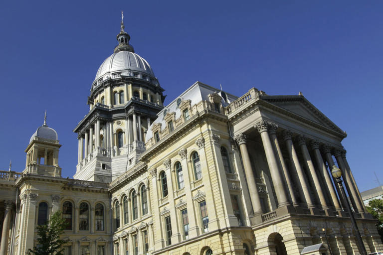 Illinois Legislator Cant Define ‘opposite Sex During Debate