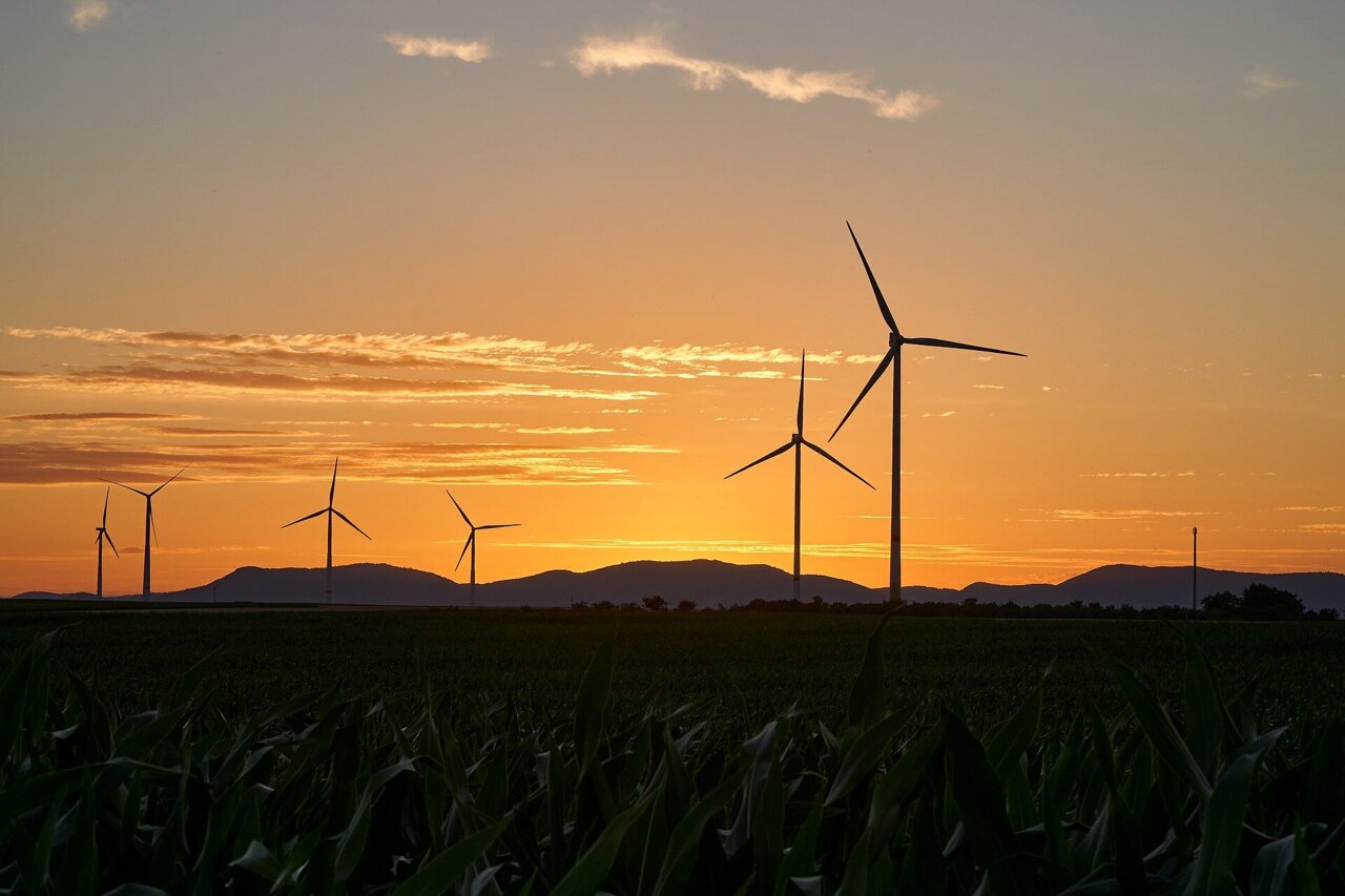 Five reasons why wind farms are costing more in Australia—and what to ...
