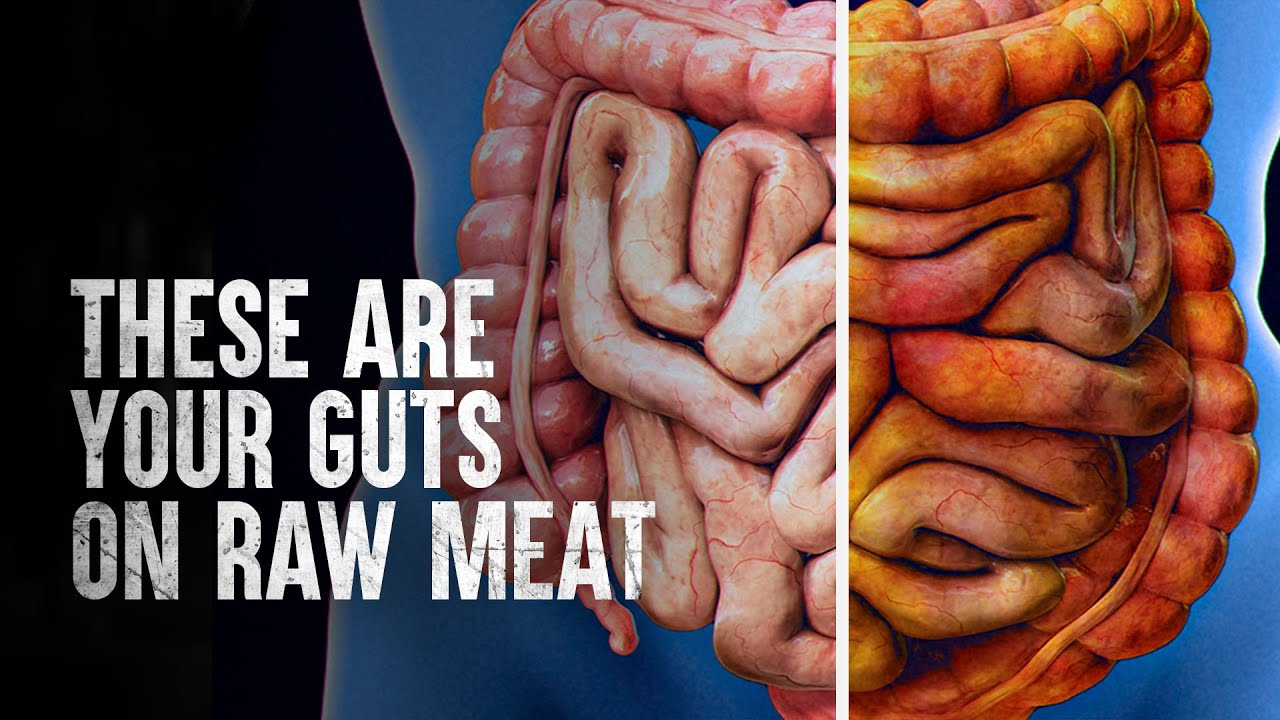 The Risks of Eating Raw Meat and How to Survive Them