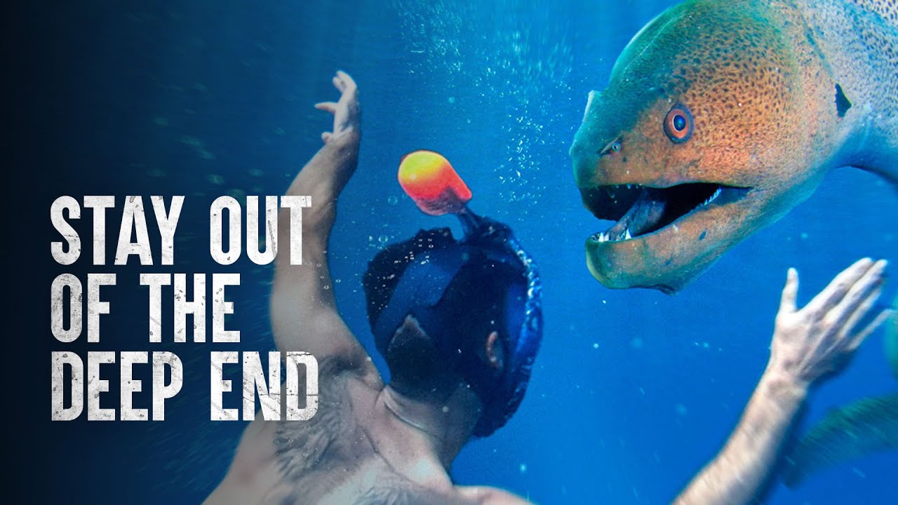 How to survive the deadliest reef creatures