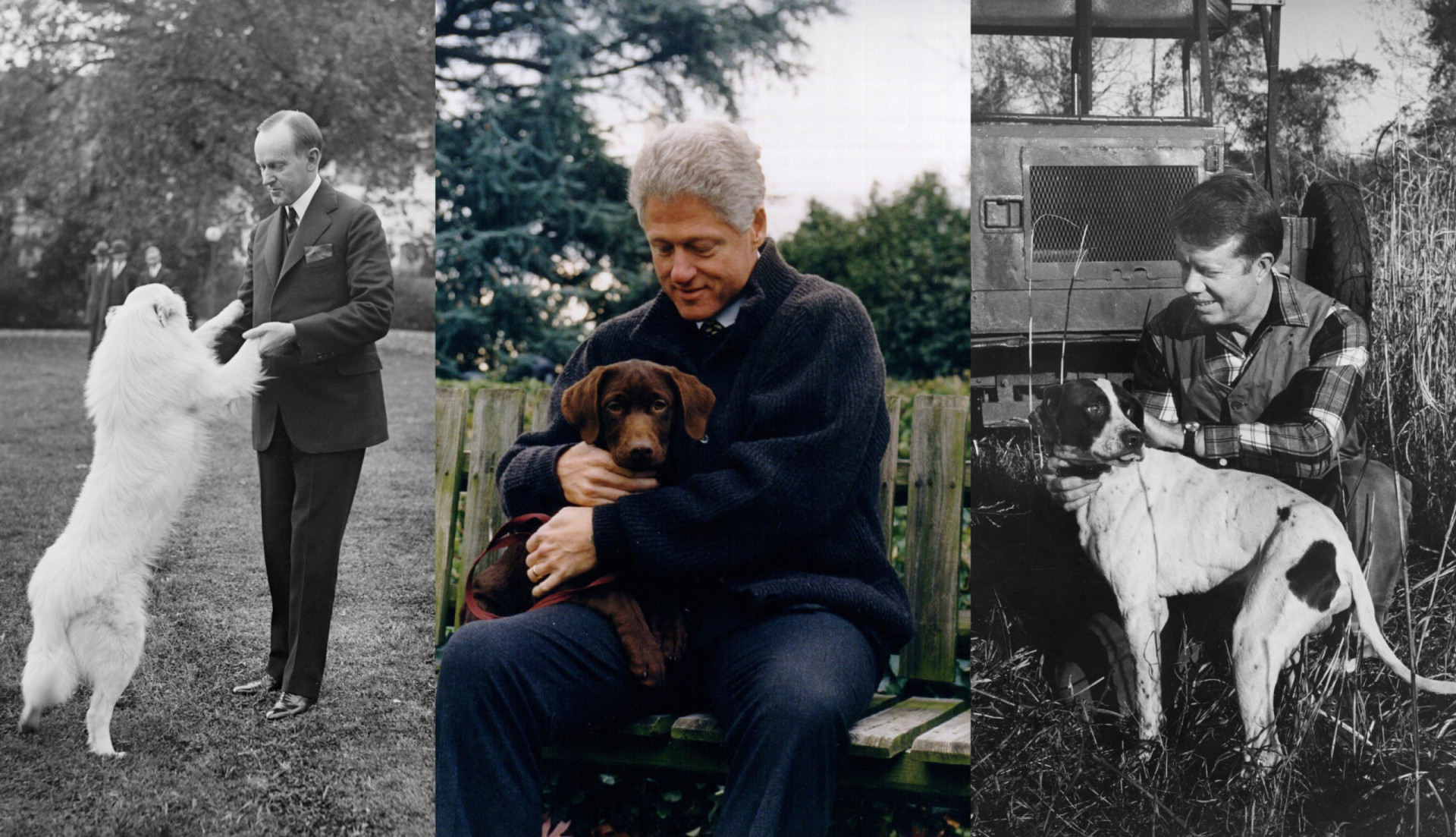 Ces animaux ont vécu à la Maison Blanche