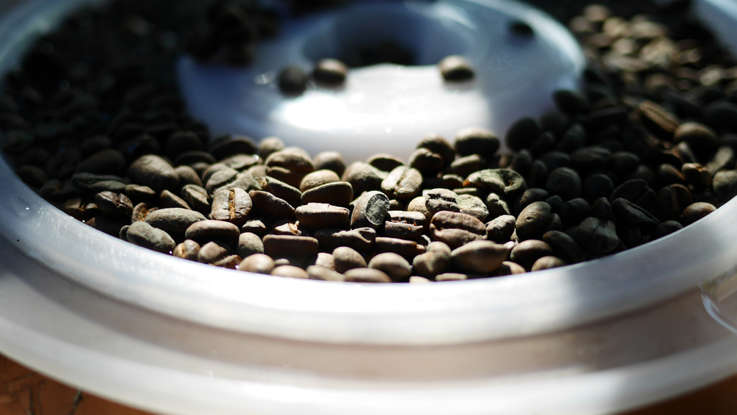 10 Common Coffee Brewing Mistakes Everyone Makes 10 Common Coffee Brewing Mistakes Everyone Makes