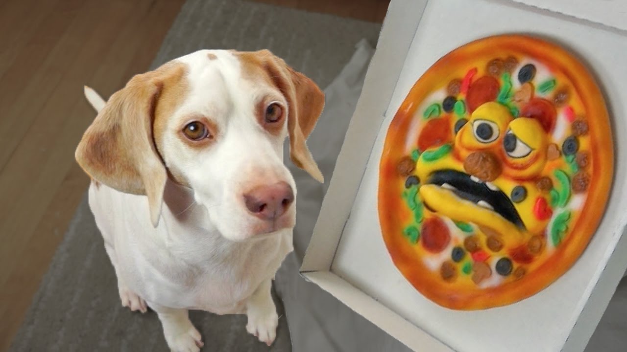 Dog Reacts to Annoying Talking Pizza Slice