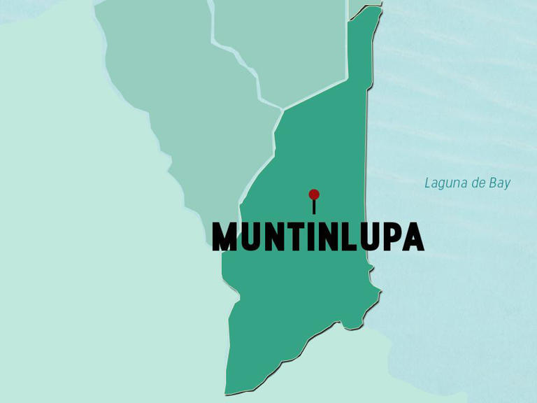Muntinlupa City releases ordinance vs. fake PWD IDs