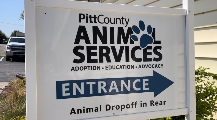 Pitt County Animal Shelter needs adoptions as they reach maximum capacity