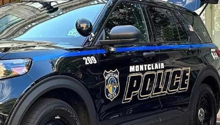 Woman Robbed At Gunpoint Walking Dog: Montclair PD