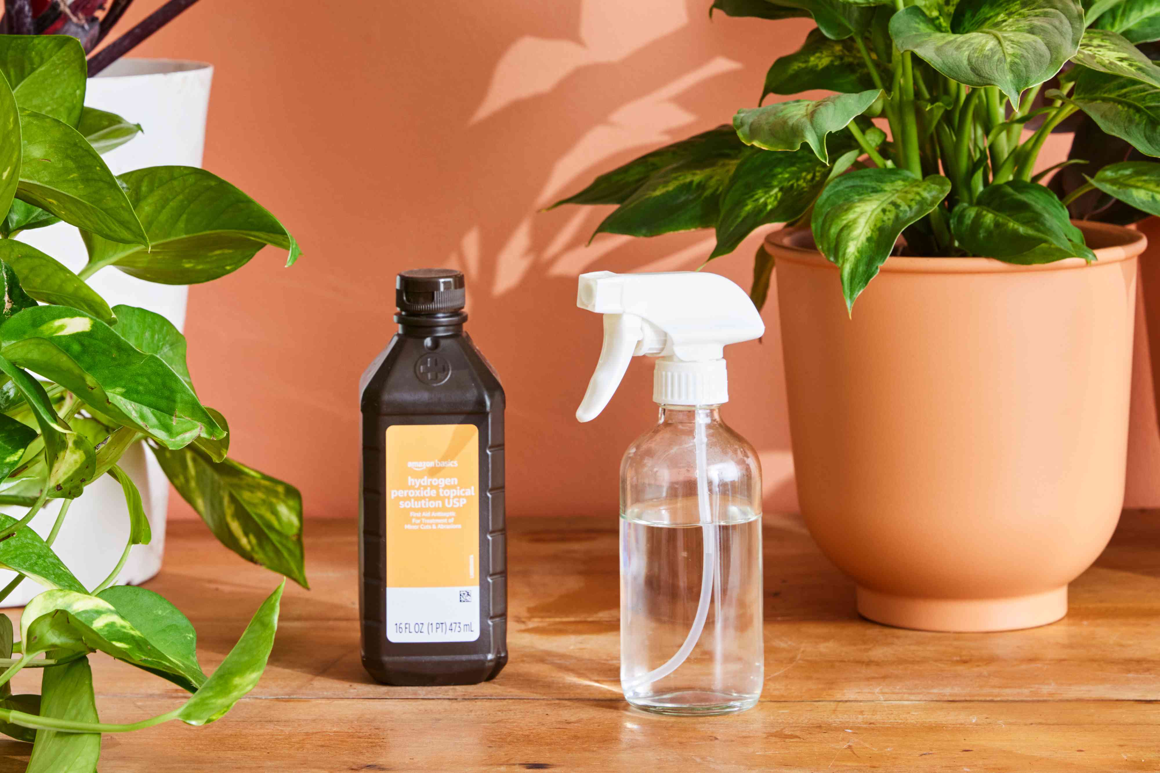 5 Reasons to Use Hydrogen Peroxide for Plants Both Indoors and Out