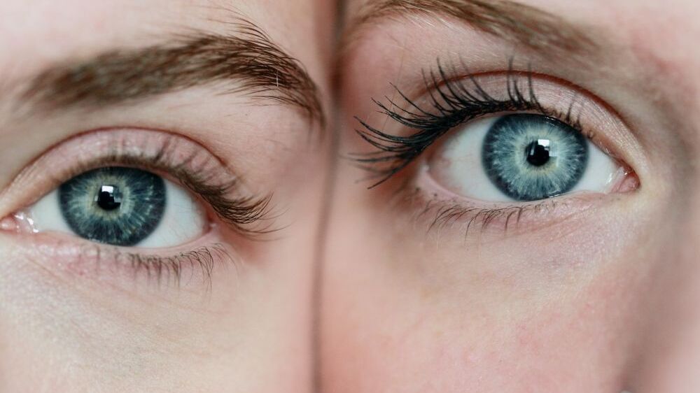 Who Is Gemini Really? Inside the Mind of the Twins