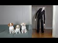 Slender Man befriends dogs in creepy funny prank