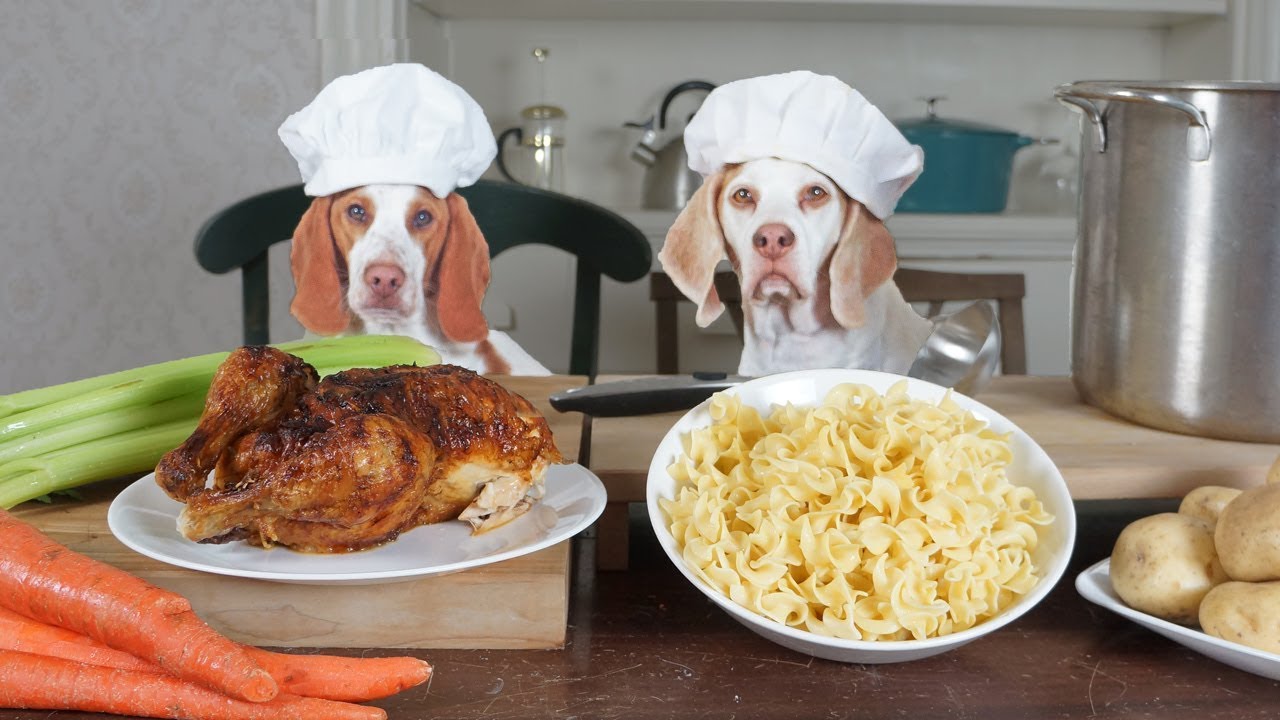 Dogs cook chicken noodle soup for friends