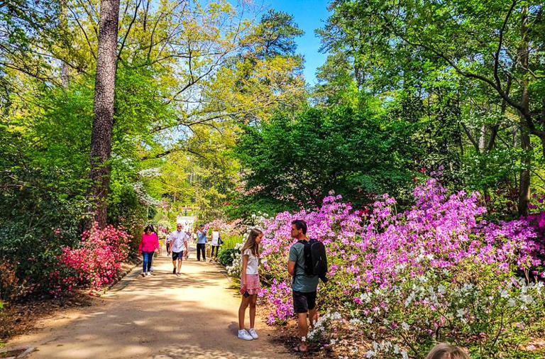 Best Things to Do in Raleigh this Weekend (Nov 3 - Nov 9, 2025)