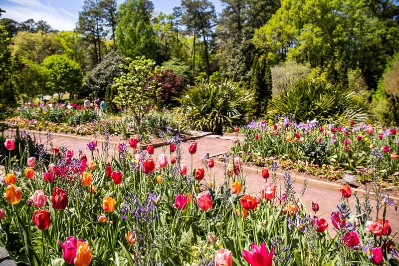 82+ Things to Do in Raleigh this Weekend (March 24 – March 30 2025)