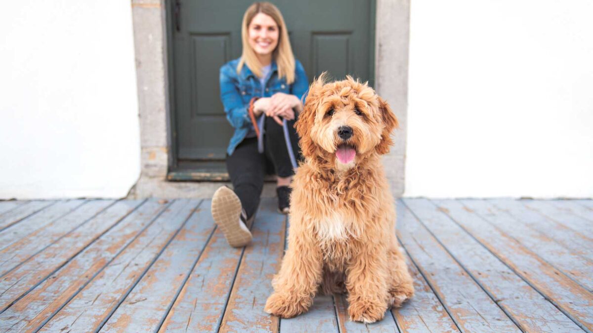 10 Ways to Show Your Dog You Understand Them