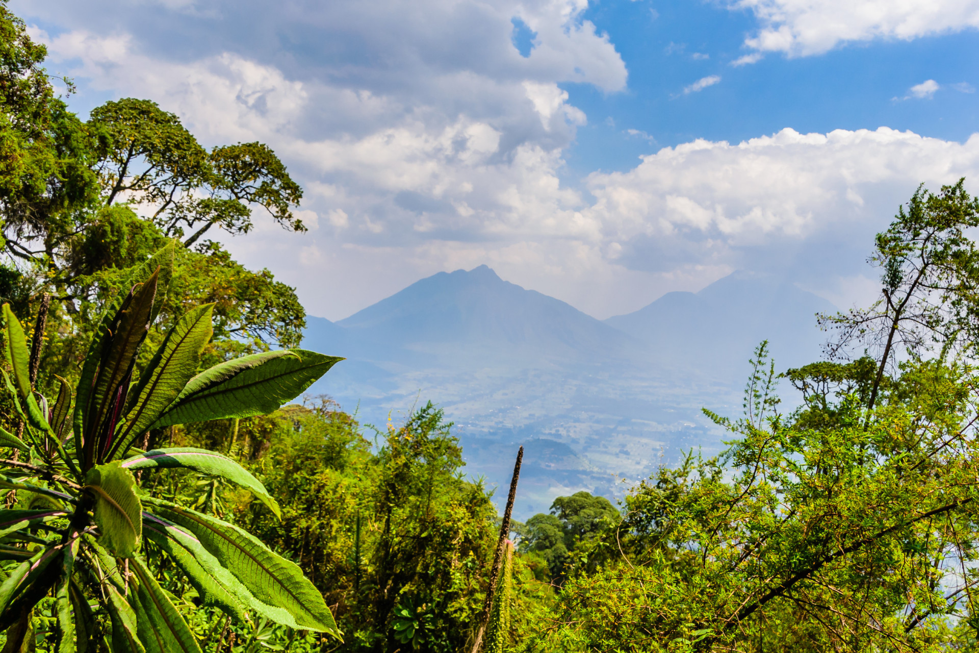 Mountains that cross international borders