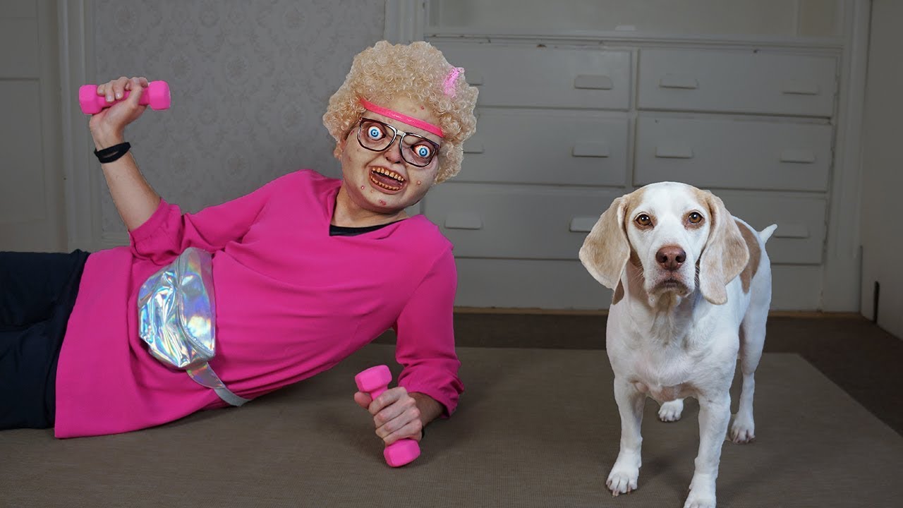 Dogs tease a nerd girl in hilarious household pranks