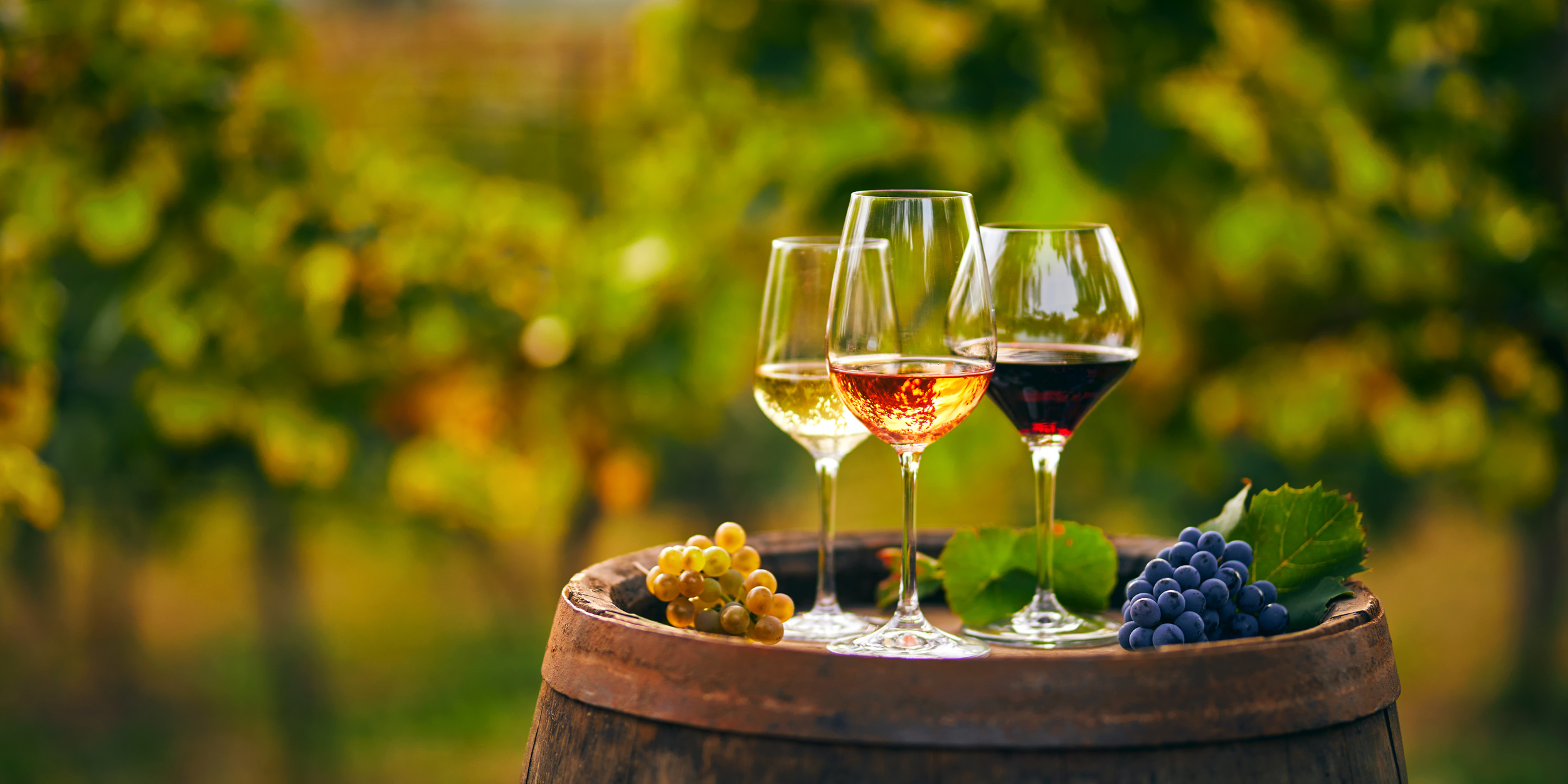 20 wine-drinking tips that will turn you into a sommelier