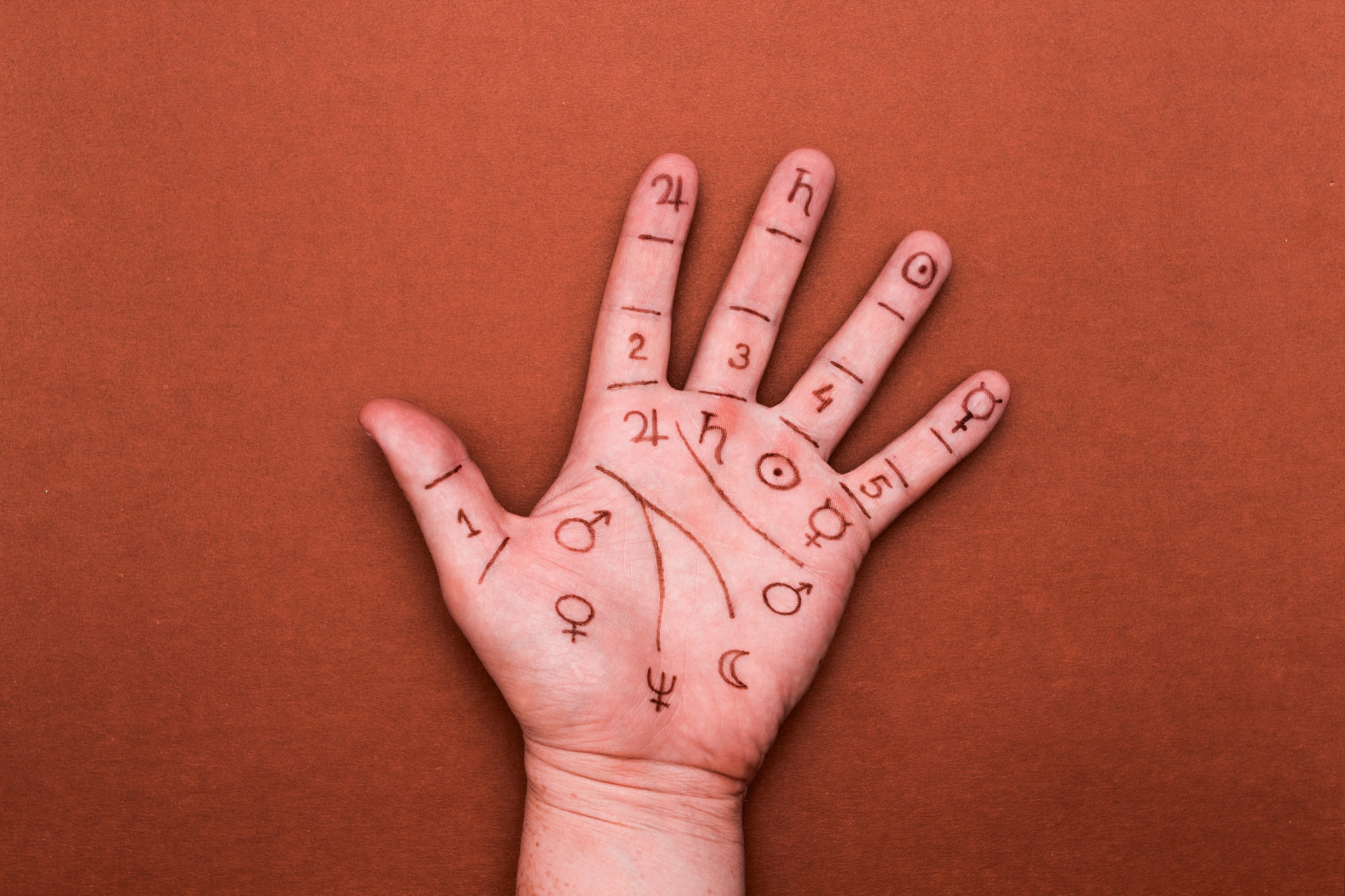 A beginner's guide to palm reading