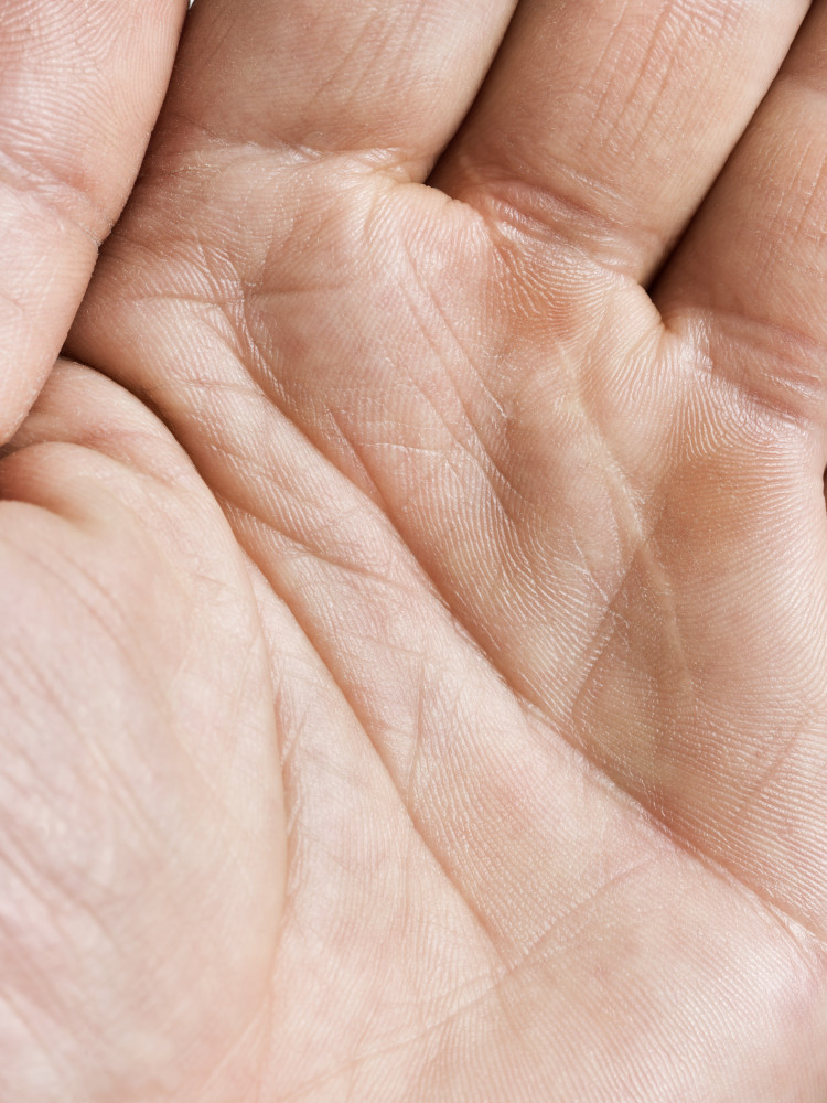 A beginner's guide to palm reading