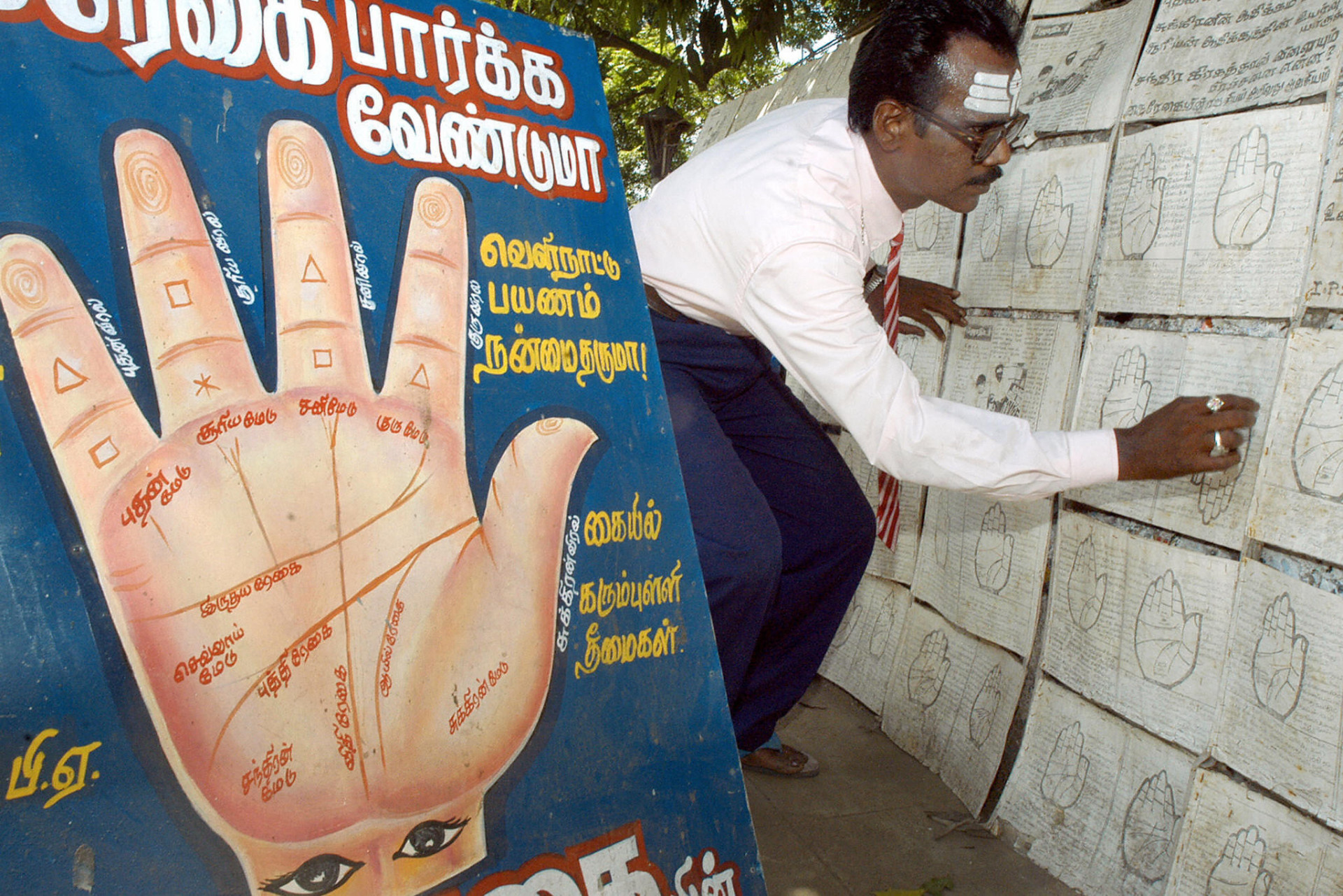 A beginner's guide to palm reading