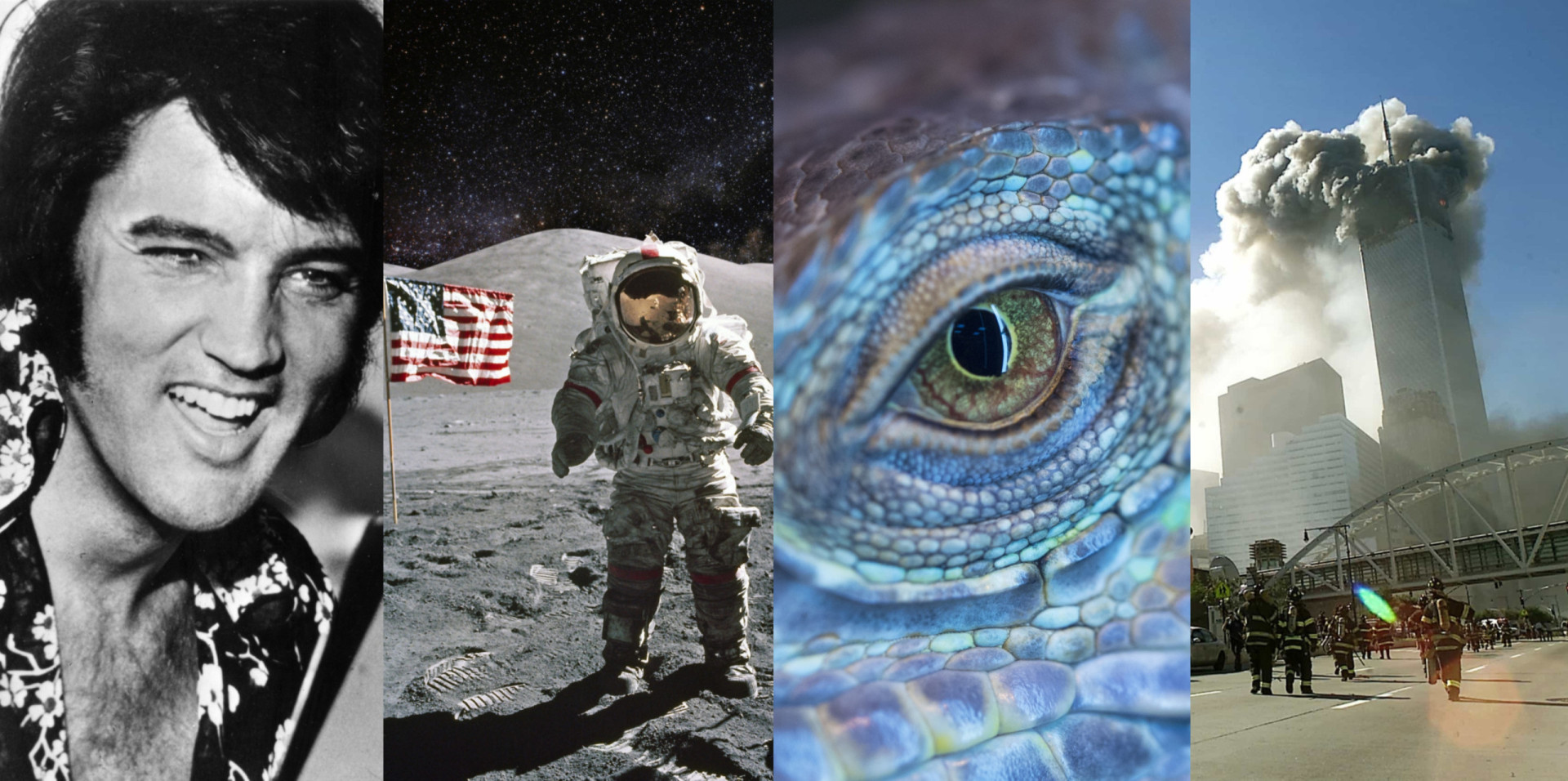 Ces théories du complot qui divisent les États-Unis