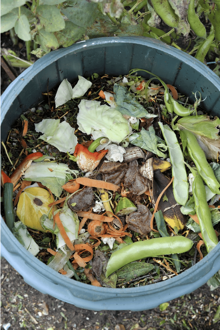 Creative tips for cutting down on food waste