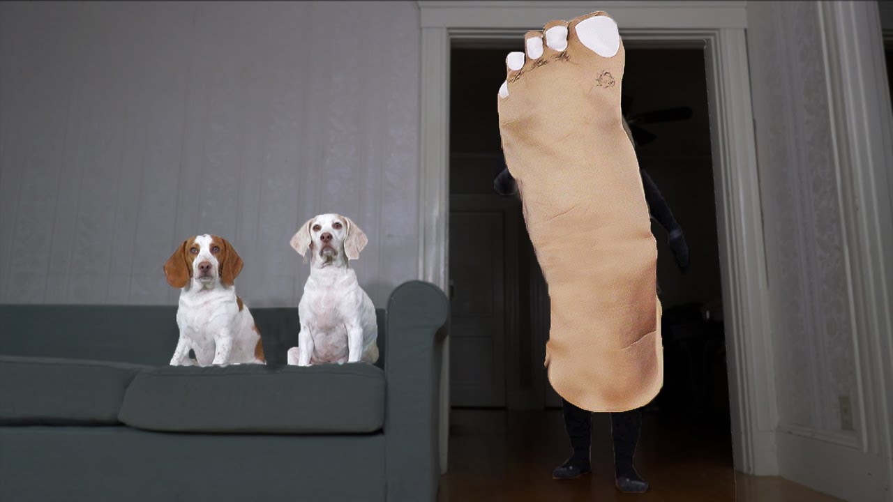 Surprise Giant Foot Prank: Dirty Sneakers and Laughs Galore