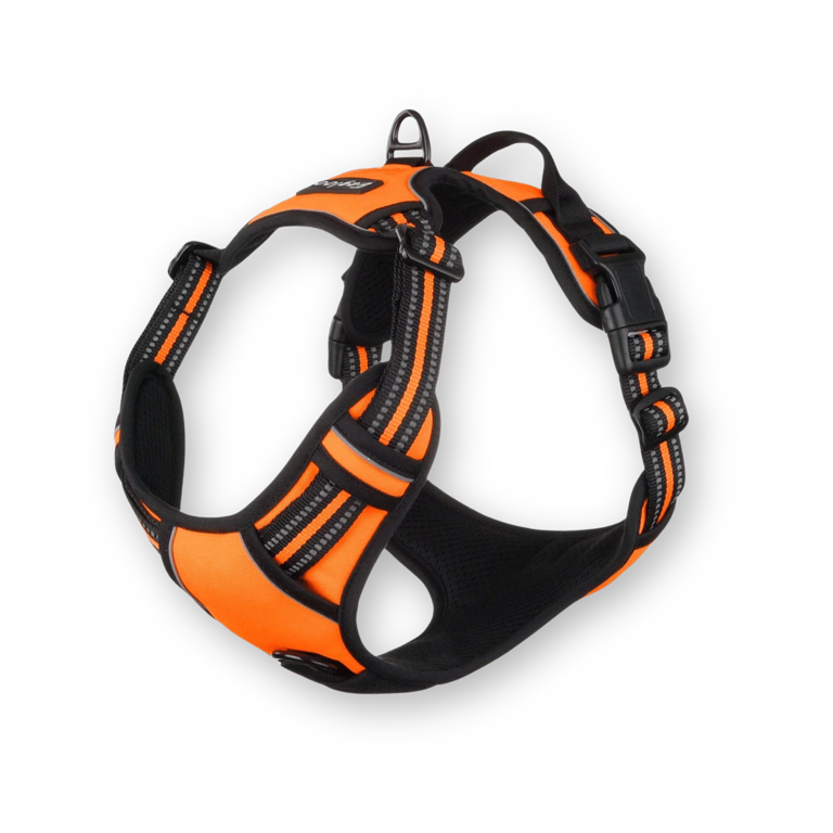 7 Best Cat Scratching Posts That Your Kitty Will Love