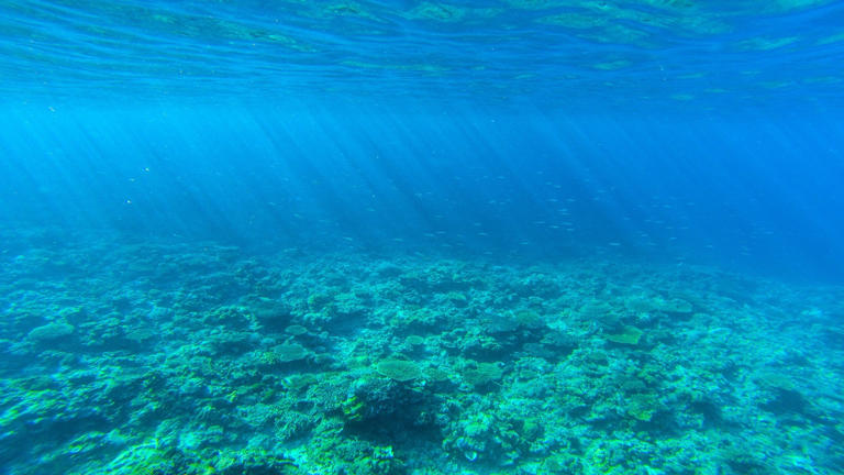 Saudi Arabia’s Ma’aden extracts lithium from seawater