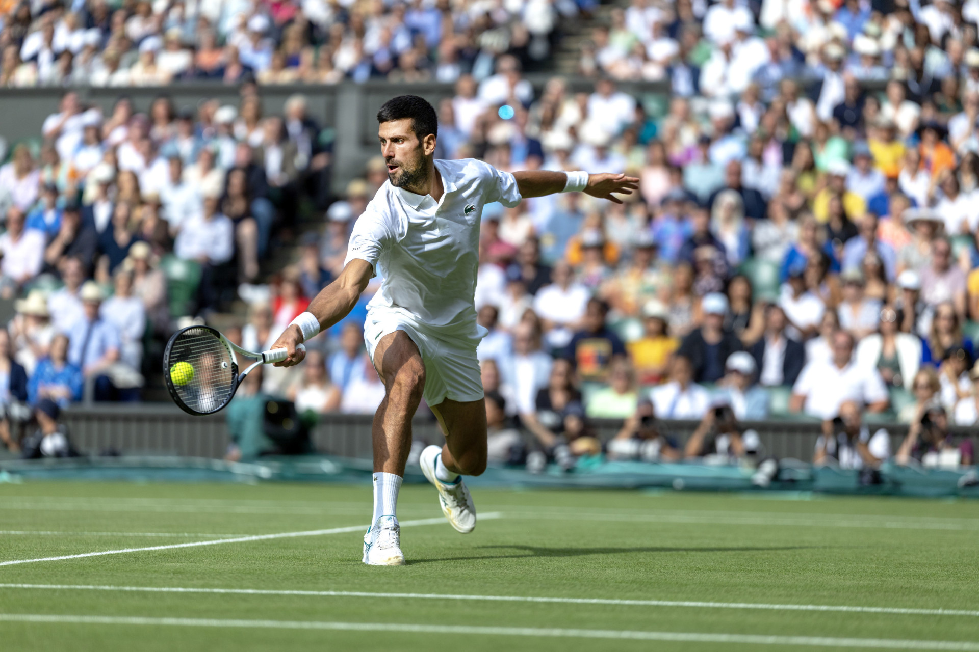 The 10 most popular sports in the world, ranked by fan numbers