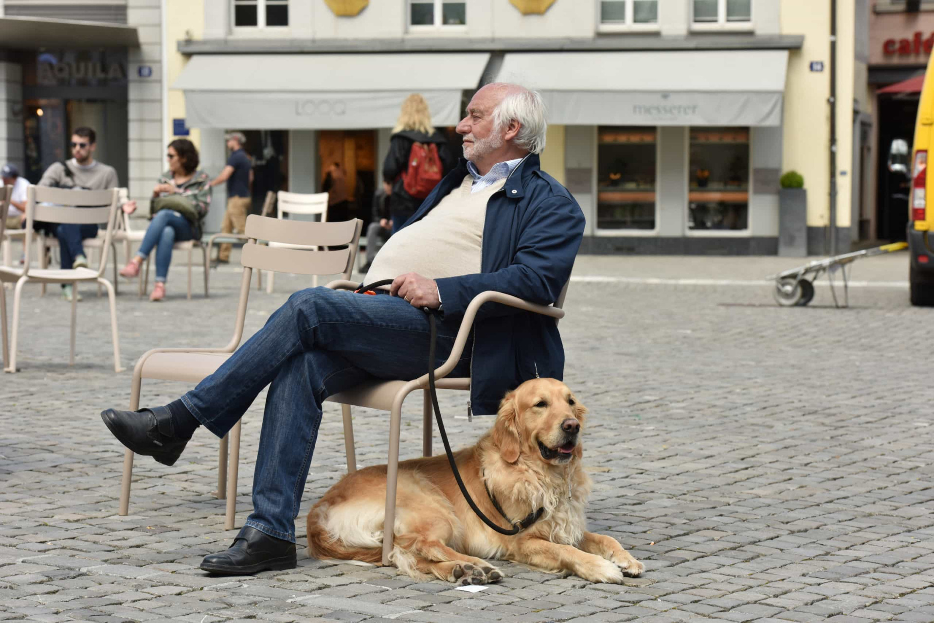 The most dog-friendly cities in the world