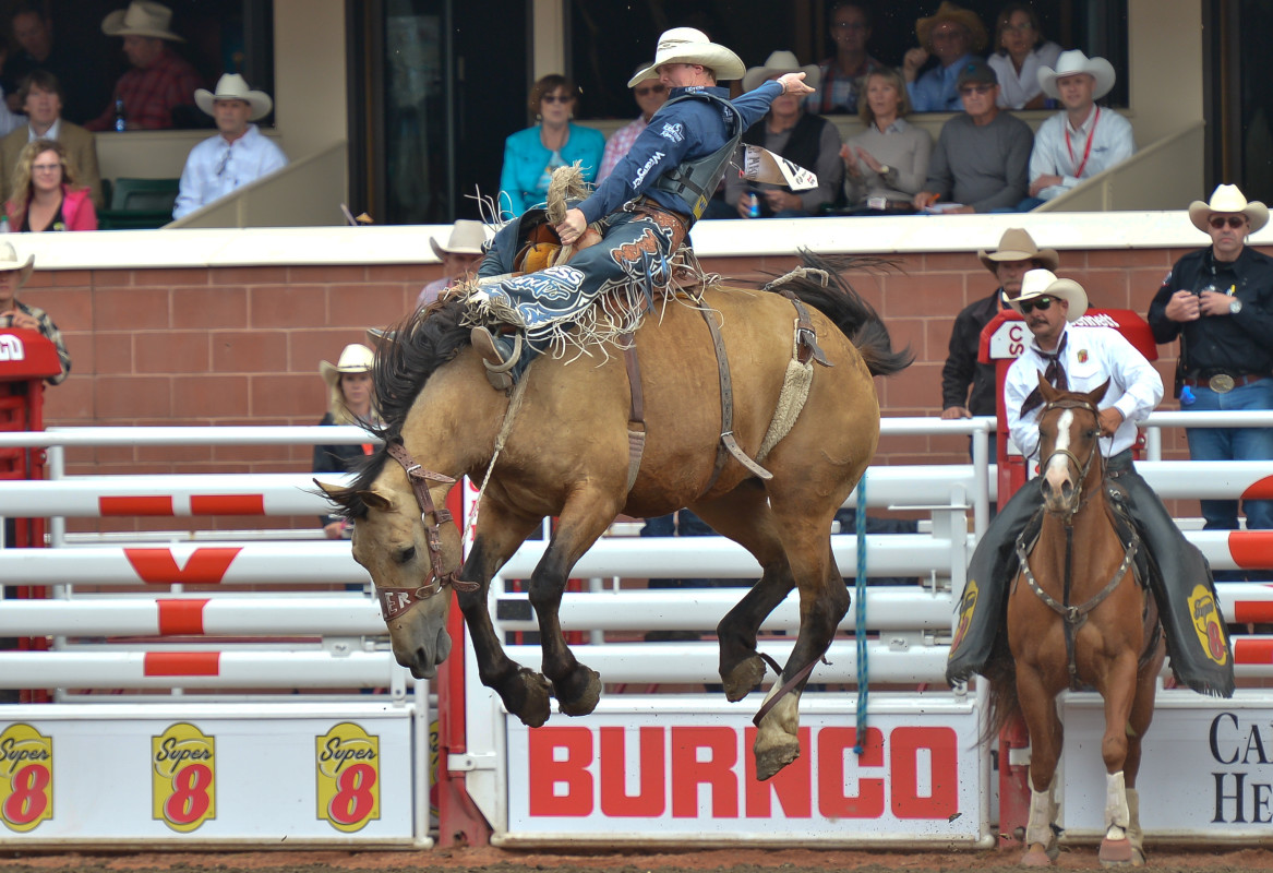 Bull Fighter Nearly Dies After Being Gored In Throat