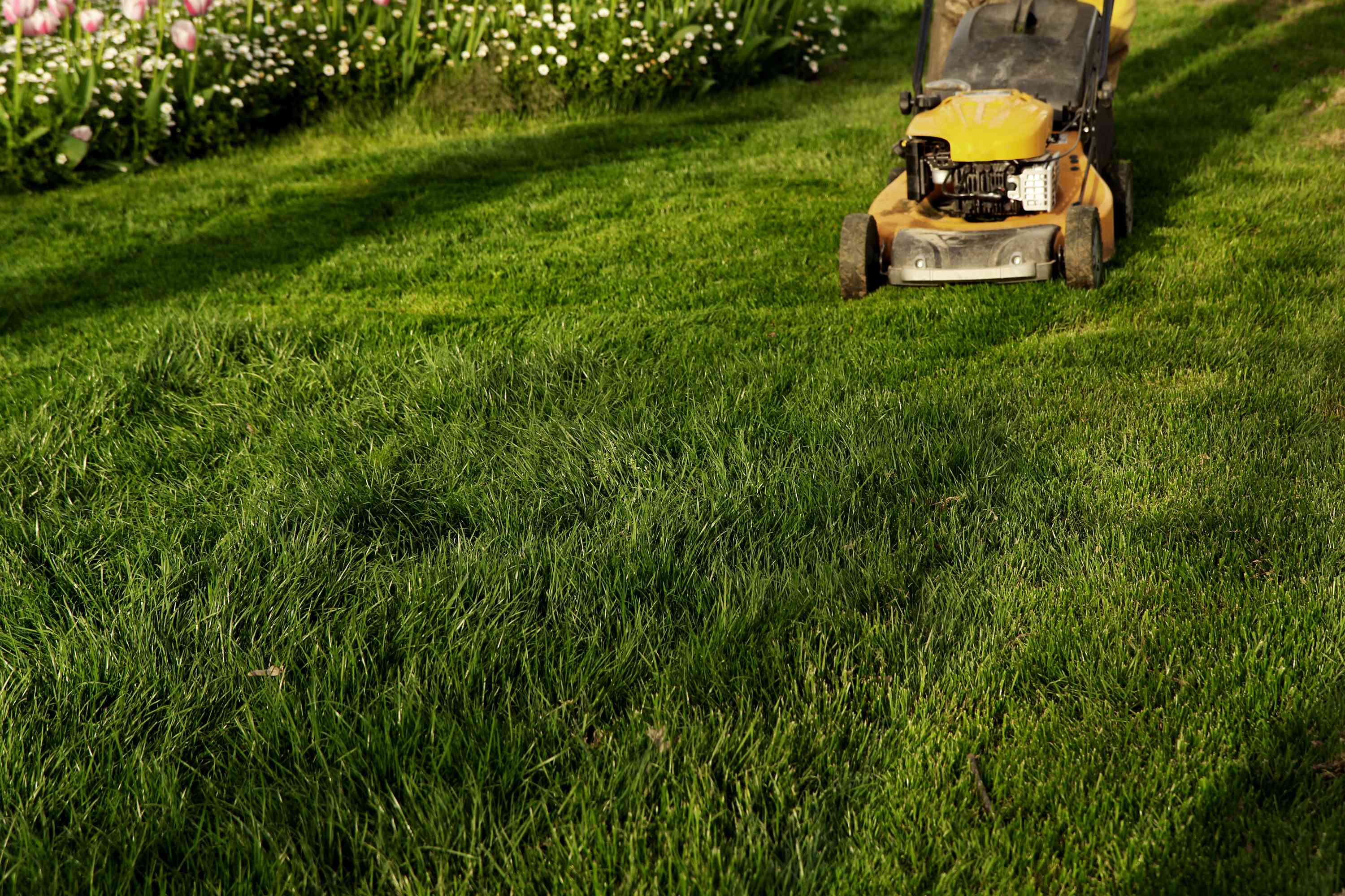 6 lawn care habits people with beautiful yards never skip