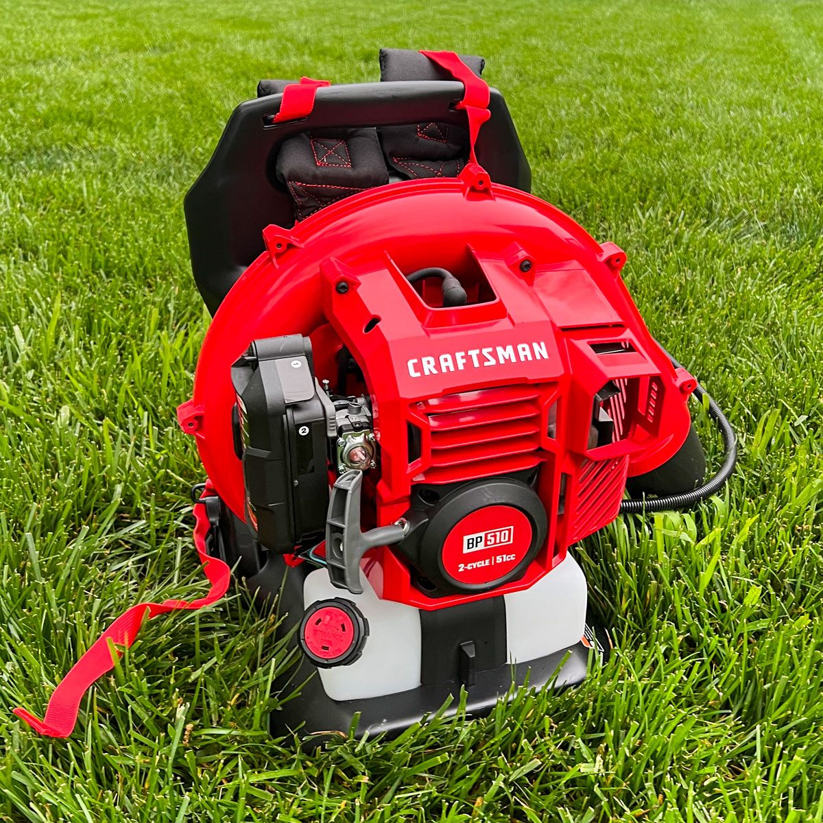 The 6 Best Backpack Leaf Blowers for Homeowners, According to a Former ...