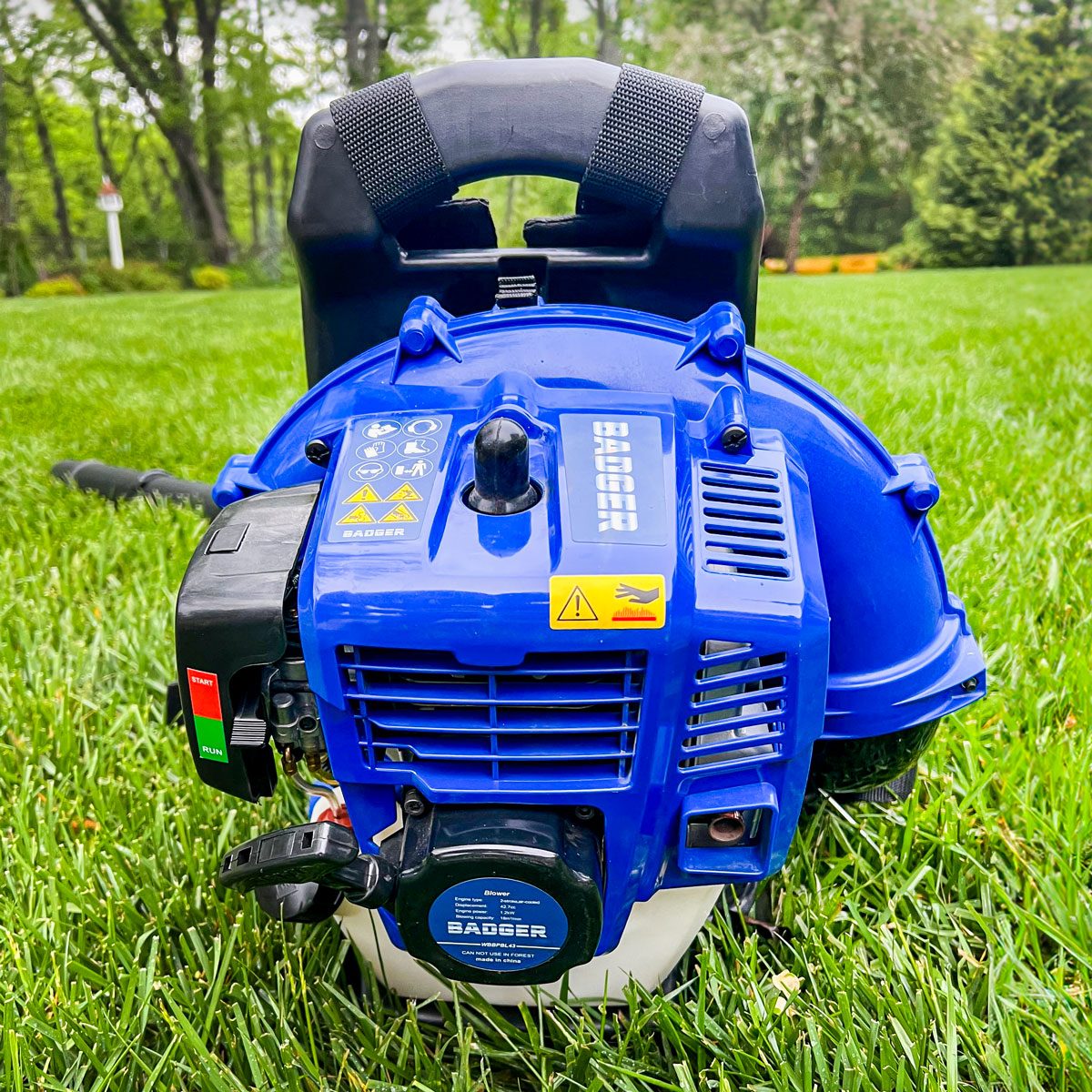 6 Best Backpack Leaf Blowers for Homeowners, According to a Landscaper