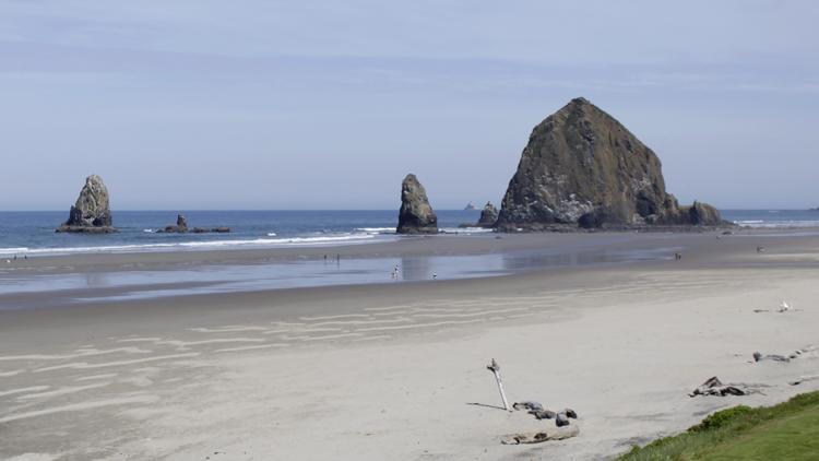 Pelican Brewing to open new pub near Newport