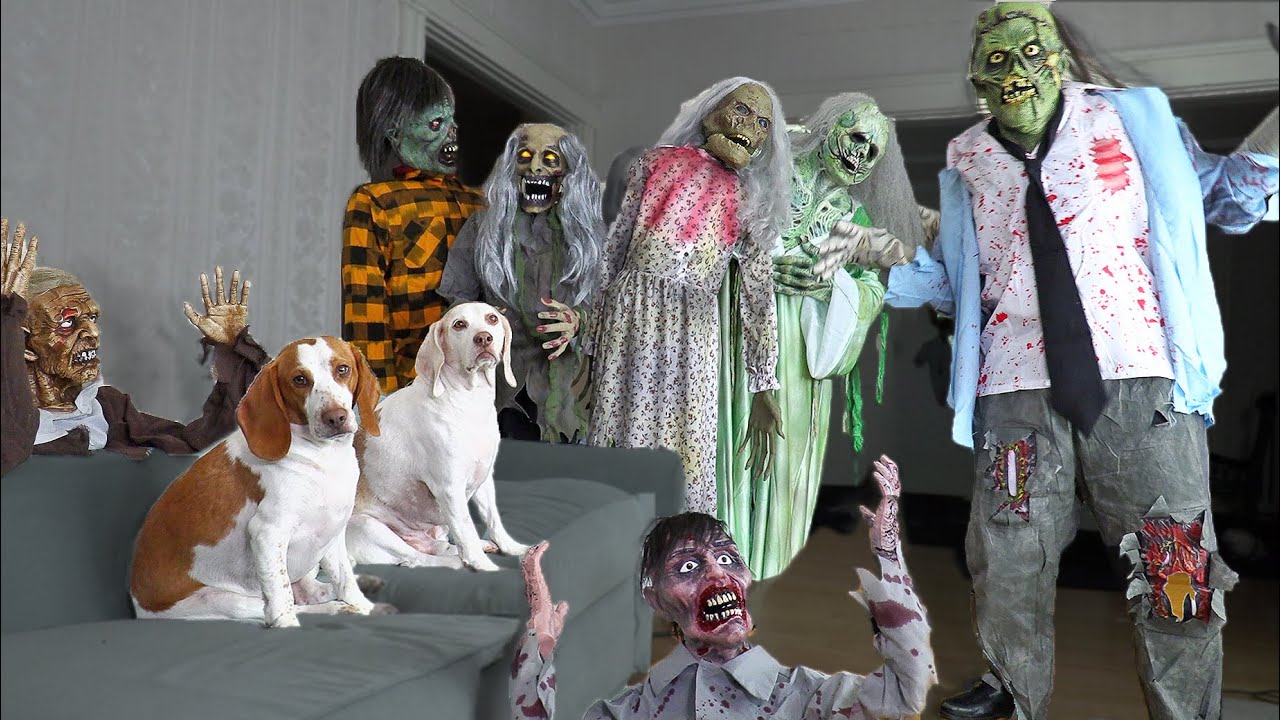 Dog battles zombie apocalypse in funny prank showdown