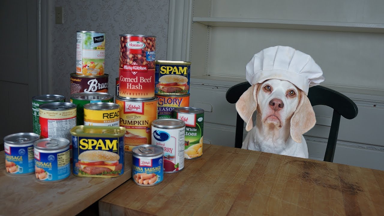 Chef dog whips up a canned food casserole treat