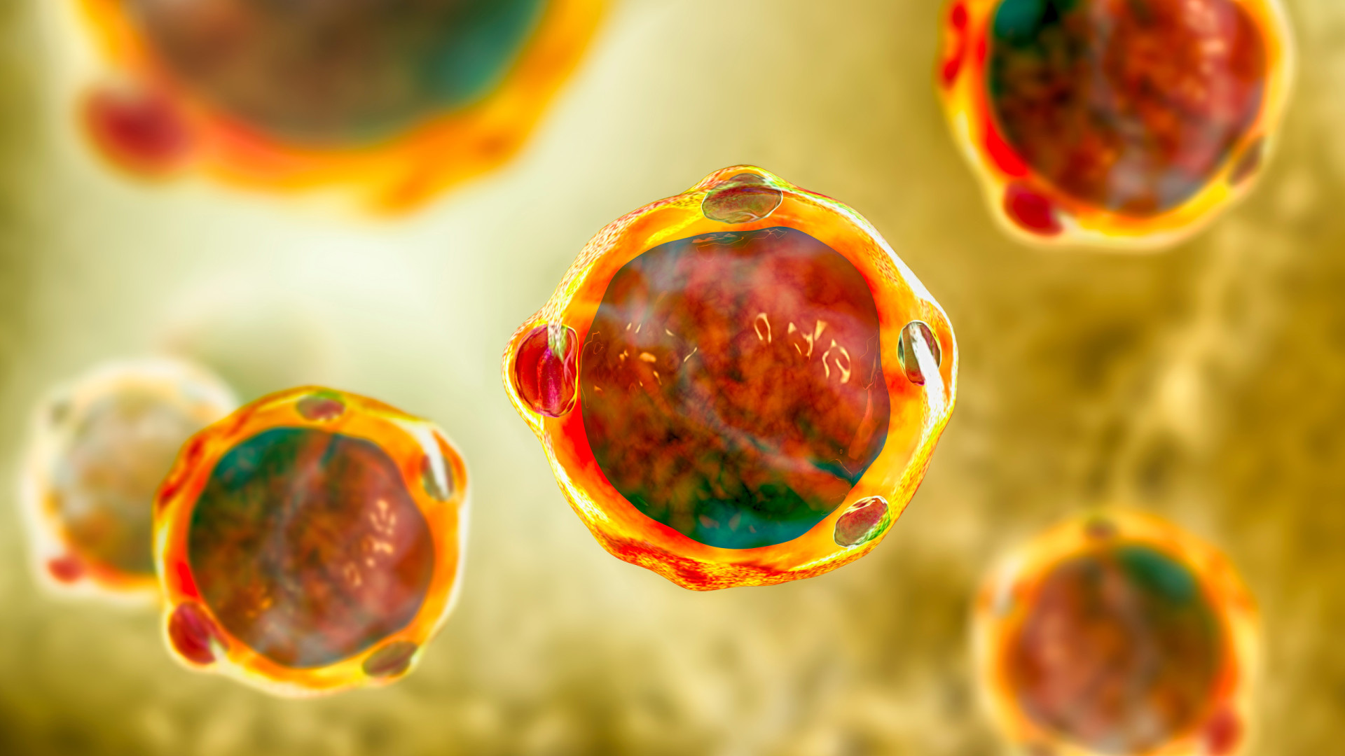 Breakup parties? Understand the evolution of divorce