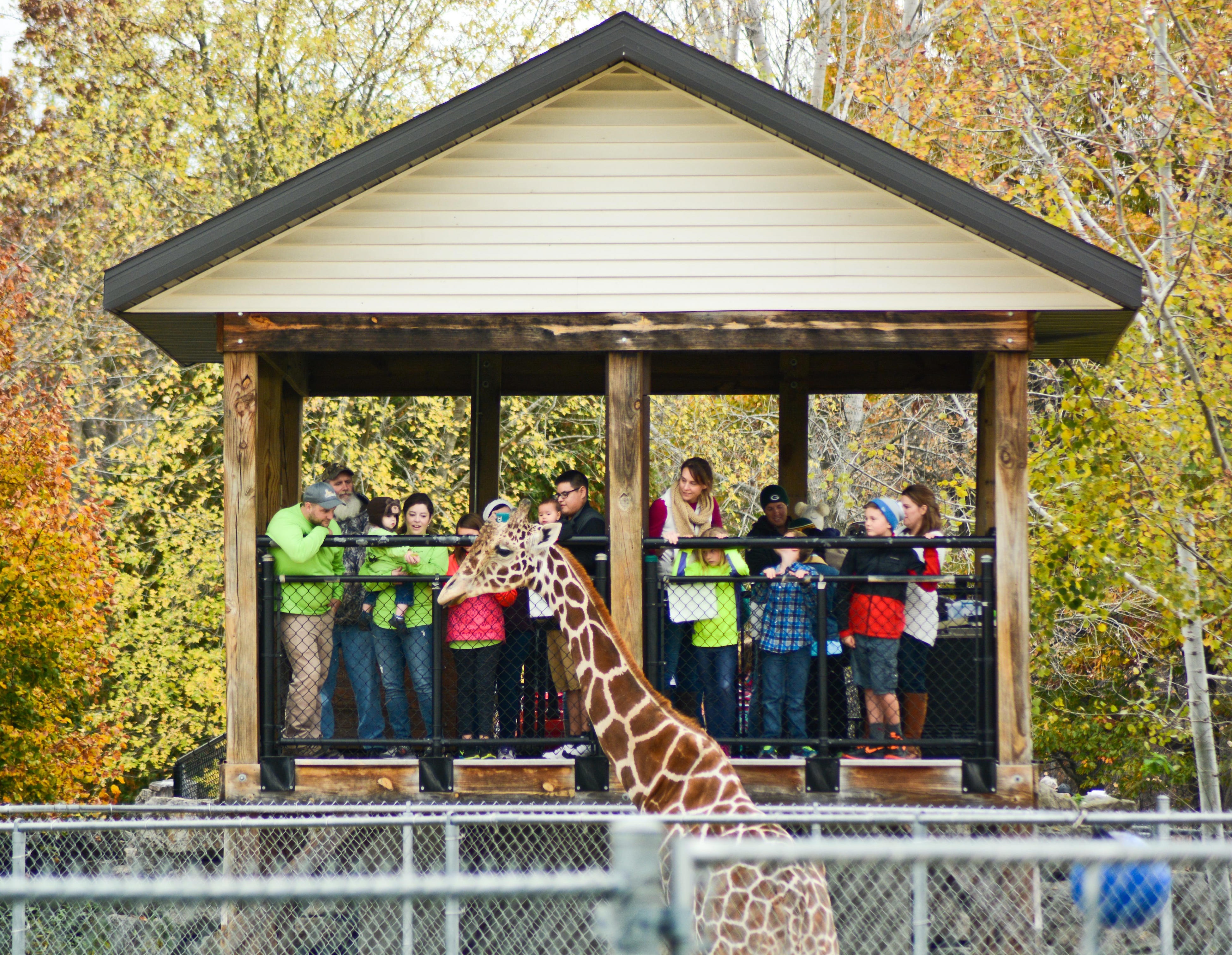 NEW Zoo offers Draft Camps for students out of school during NFL draft ...