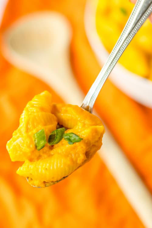 Creamy Pumpkin Mac and Cheese