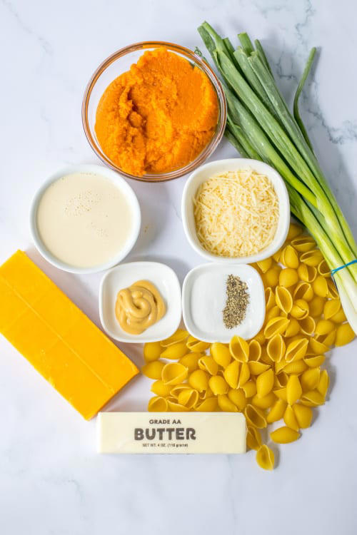 Creamy Pumpkin Mac and Cheese